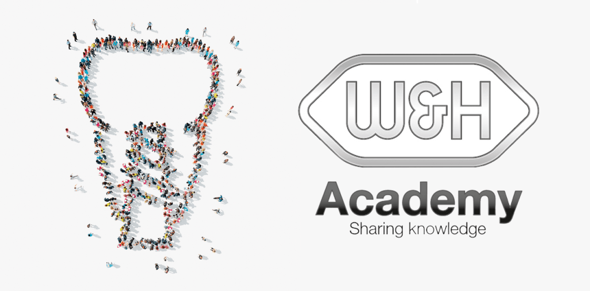 Neue W&H Academy – starkes Fortbildungsangebot in 2023 – ZWP online ...